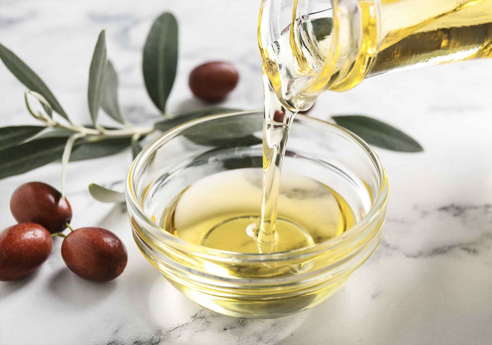 Nourish Lotion | CBD+CBG-Infused Body Lotion | Element Apothec